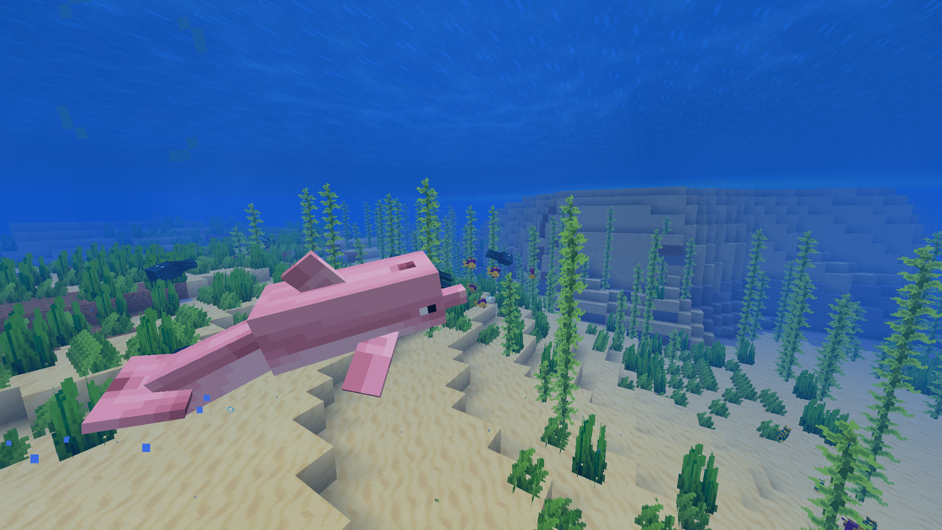 Java & Stuff - Actions & Stuff For Minecraft Java Edition